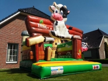 Springkussens - Wind Amusementsverhuur